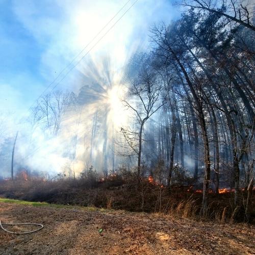 Over 100 Acres Burned - Home & Barn Saved Today in Possumneck Fire ...